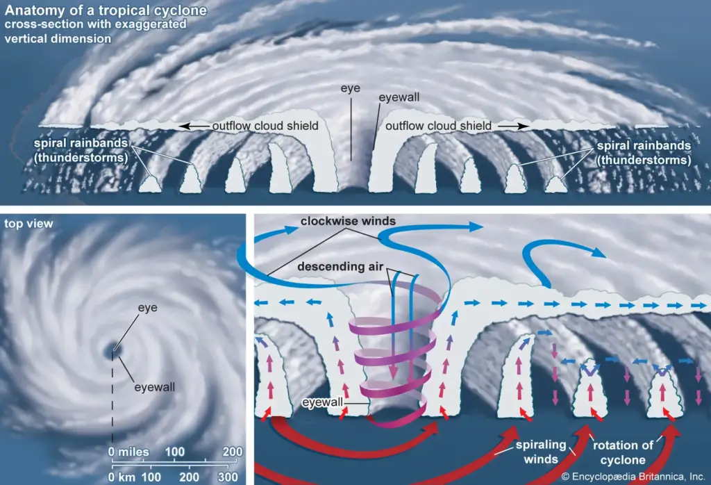 How to Predict a Tropical Cyclone? Best Tips for Cyclone Prediction ...